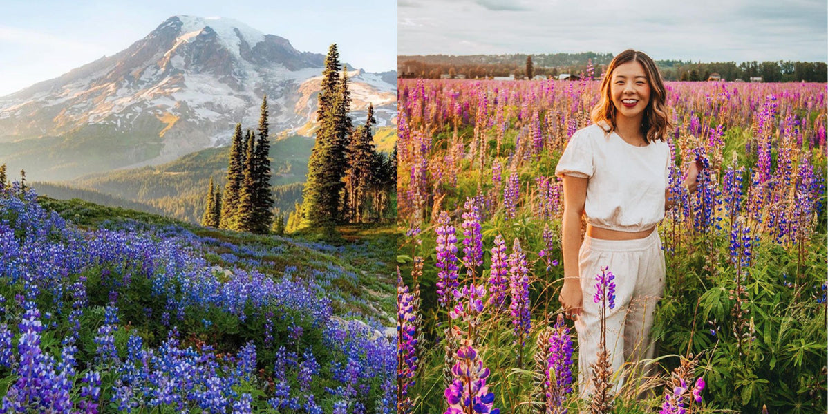 10 Best Wildflower Hikes Near Seattle – Washington Local
